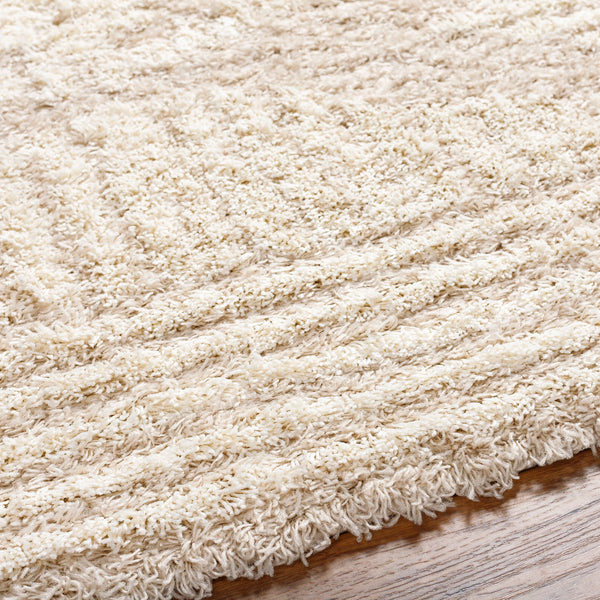 BONAPARTE Shaggy Rug I Modern Boho Rug I White, Beige – Surya BV